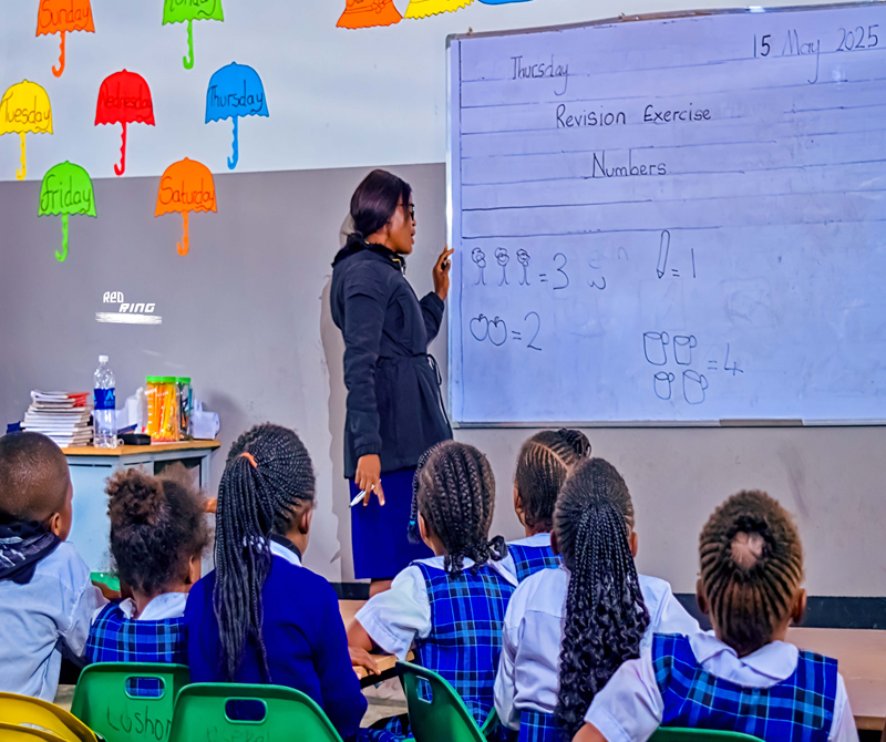 Shop - Smak Bright Store